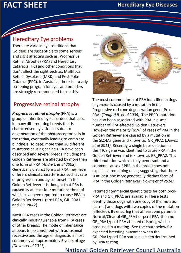 Fact Sheets – National Golden Retriever Council