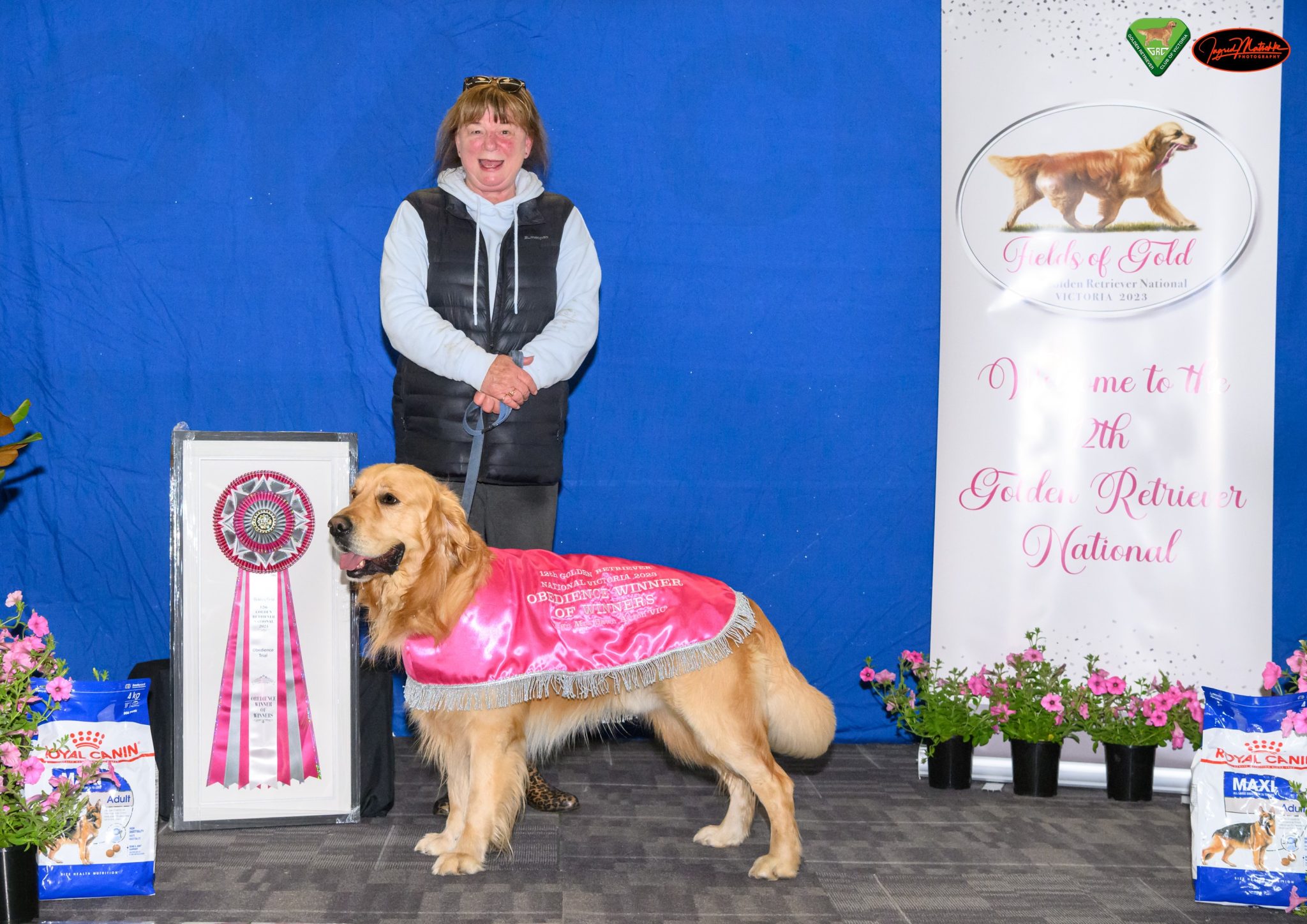 12th Golden Retriever National – National Golden Retriever Council
